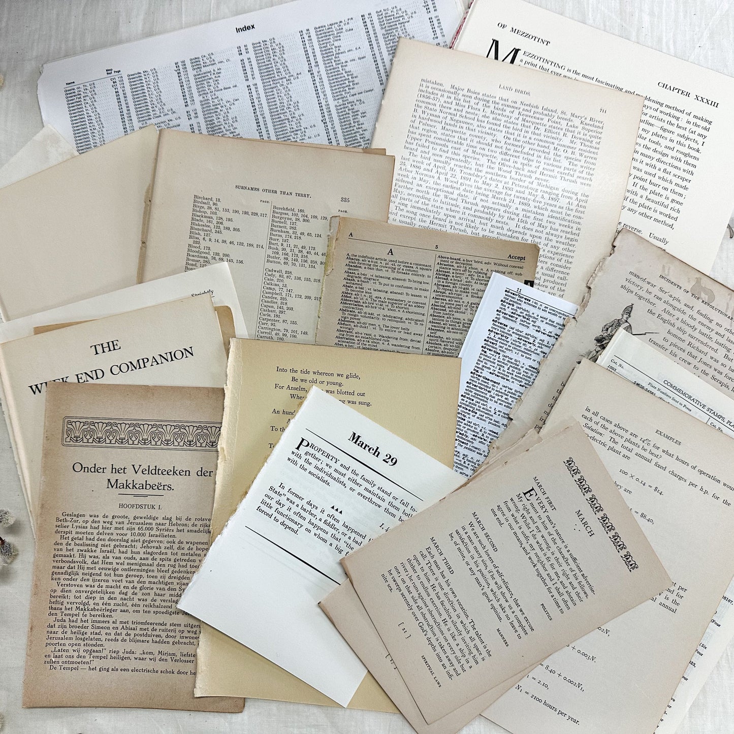 Assorted Vintage Book Pages – The Reading Spa